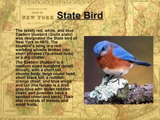 New York State Facts | PPT