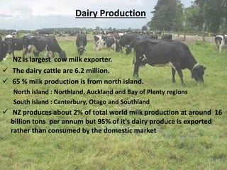 Newzealand-A Country with least corruption: Country overview | PPTX ...