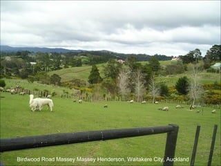New Zealand Landscape | PPS