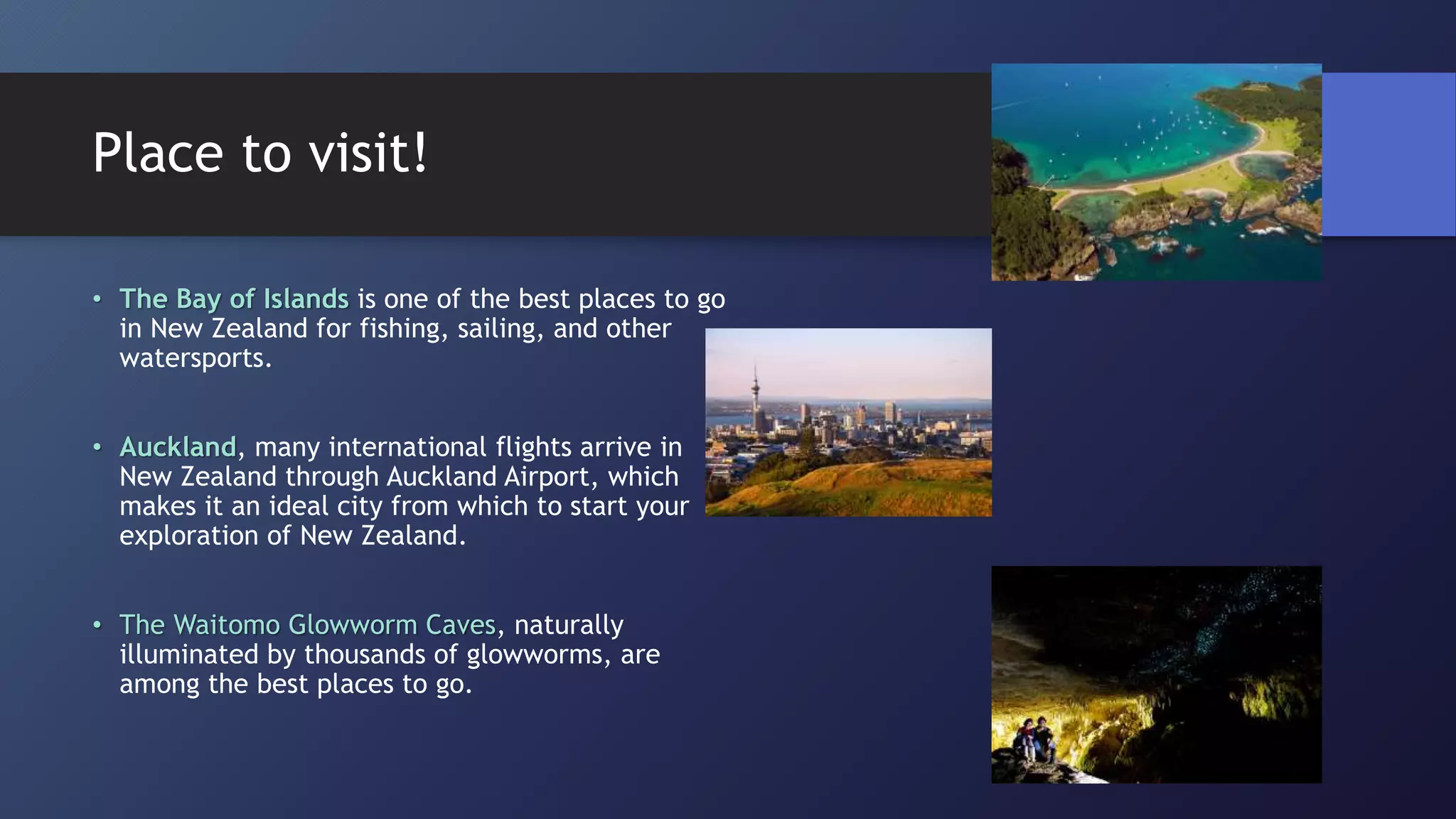 New zealand pp | PPTX