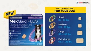 Buy Nexgard Plus for Dogs Online | Trusted Flea and Tick Treatment | PPT
