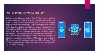 Why React Native is the Future? | PPT | Free Download