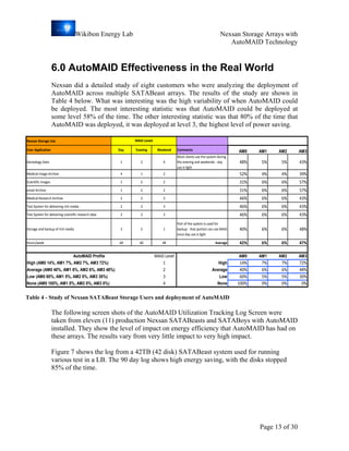 Nexsan Auto Maid Marketing Report | PDF