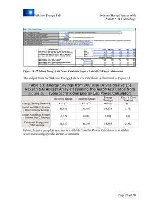 Nexsan Auto Maid Marketing Report | PDF