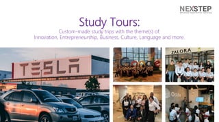 Nexstep company overview general | PDF