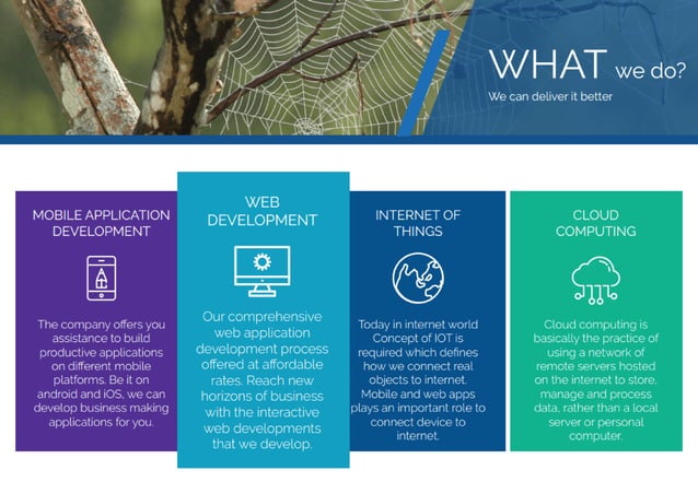 Nextbrain technologies profile | PPT