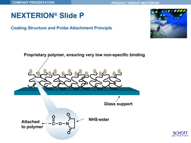 NEXTERION® Slide P - The slide of choice for Antibody Microarrays | PPT