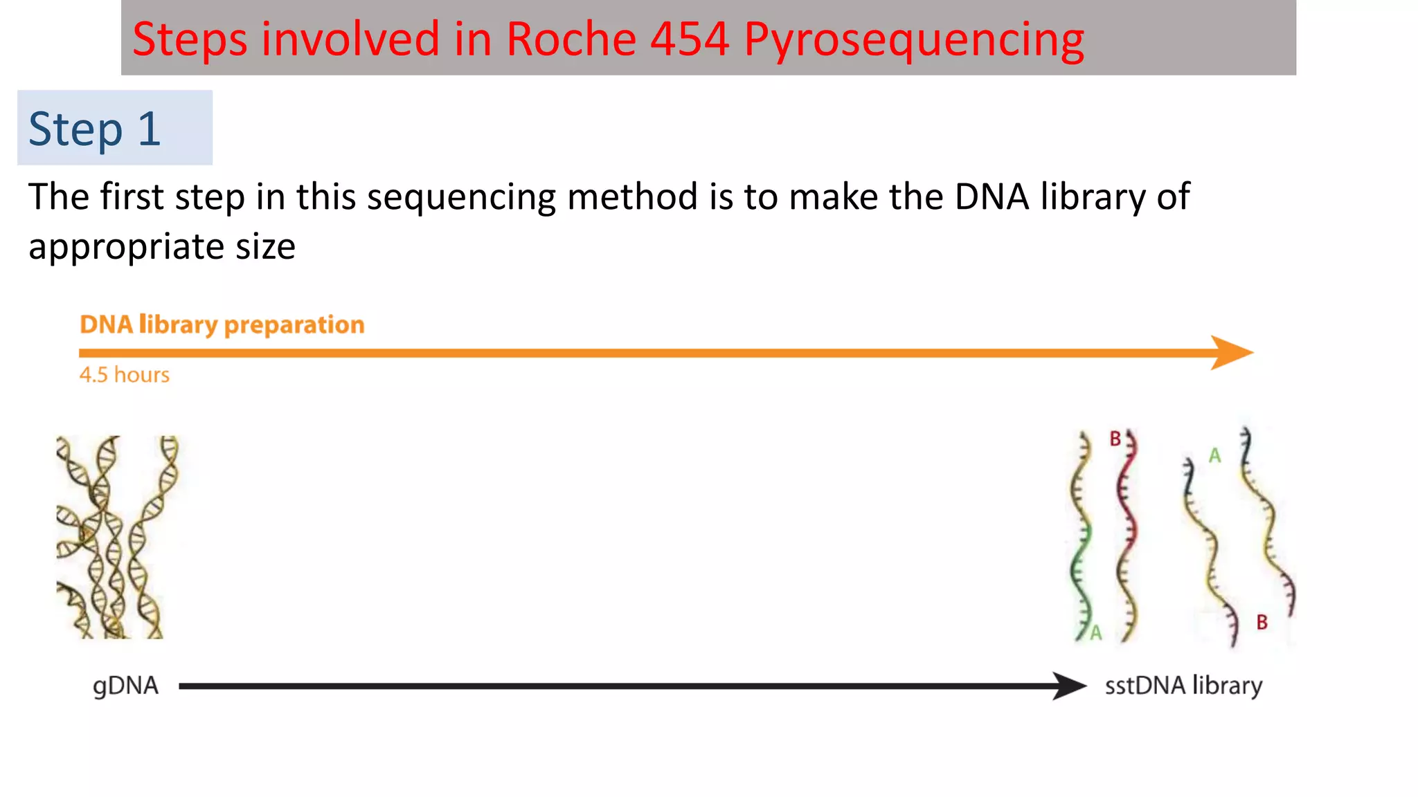 Roche Pyrosequencing 454 ; Next generation DNA Sequencing | PPTX