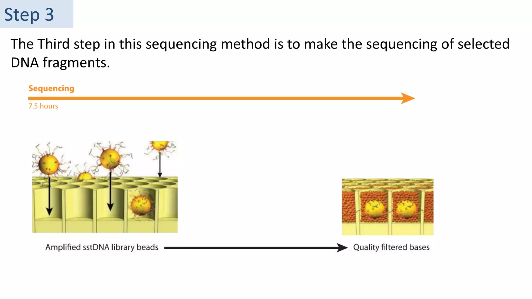 Roche Pyrosequencing 454 ; Next generation DNA Sequencing | PPTX