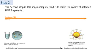 Roche Pyrosequencing 454 ; Next generation DNA Sequencing | PPTX