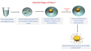 Roche Pyrosequencing 454 ; Next generation DNA Sequencing | PPTX
