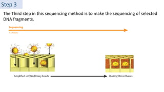 Roche Pyrosequencing 454 ; Next generation DNA Sequencing | PPTX