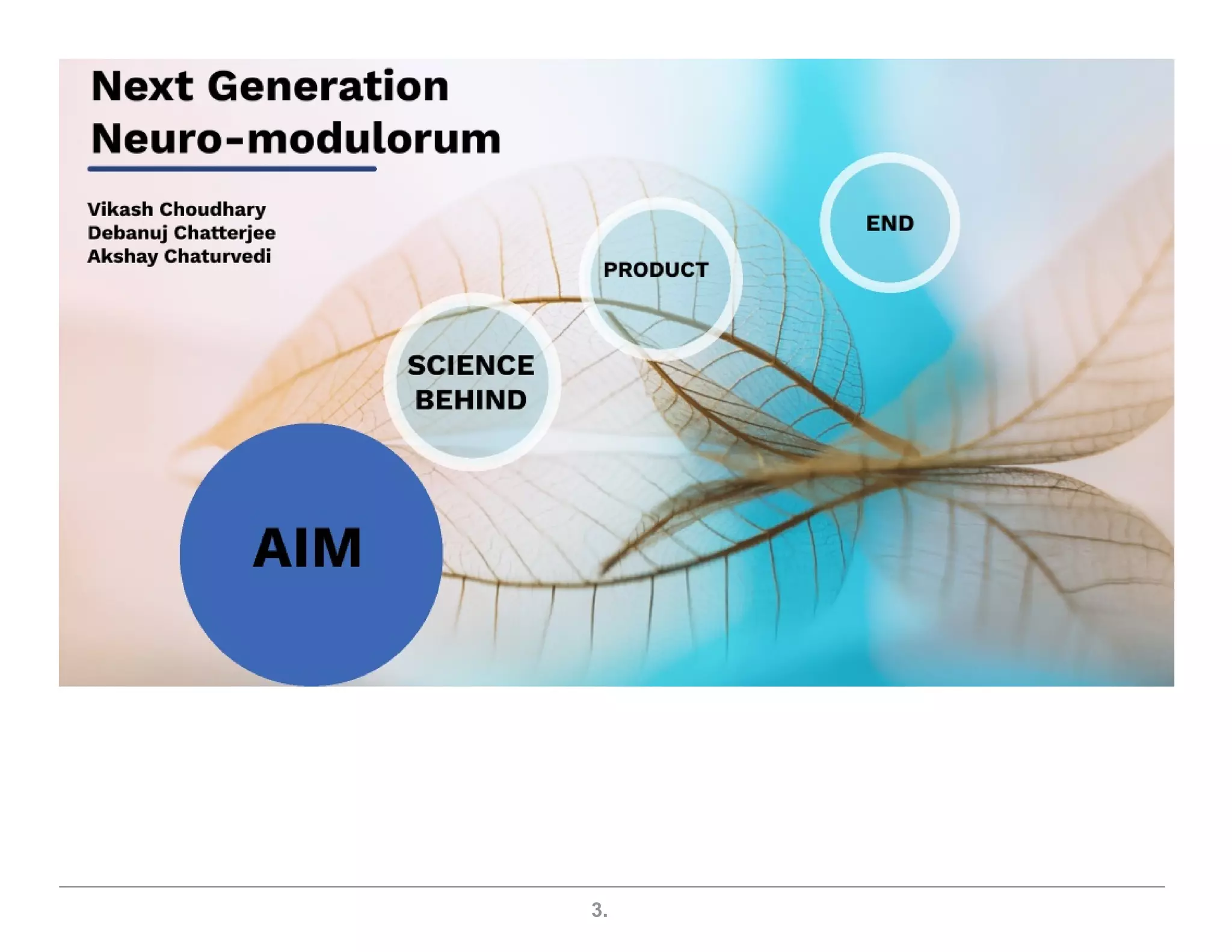 Next generation neuro modulorum | PPT