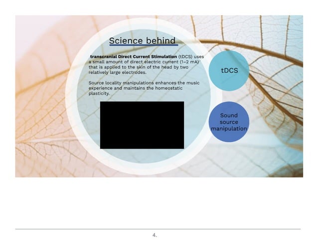 Next generation neuro modulorum | PDF