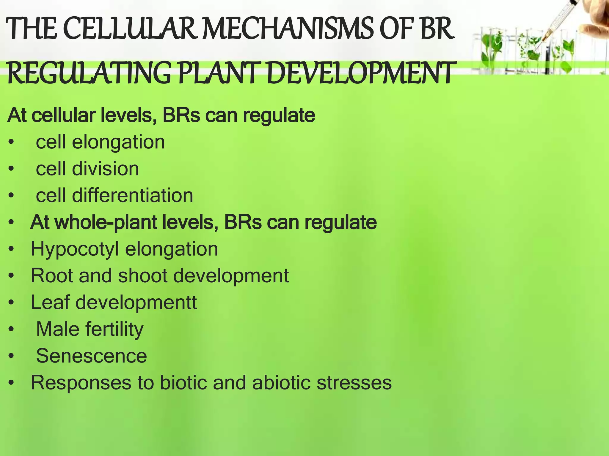 Next generation plant growth regulators in horticulture production | PPTX