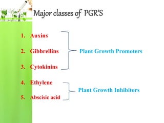 Next generation plant growth regulators in horticulture production | PPTX
