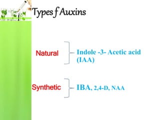 Next generation plant growth regulators in horticulture production | PPTX
