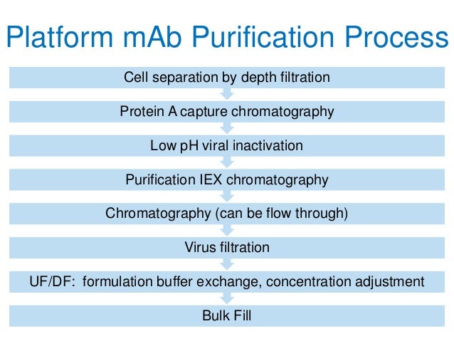 Next Generation Recombinant Protein Manufacturing