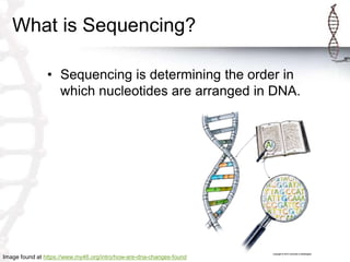 Next Generation Sequencing - the basics | PPTX