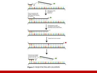 Next generation sequences | PPT