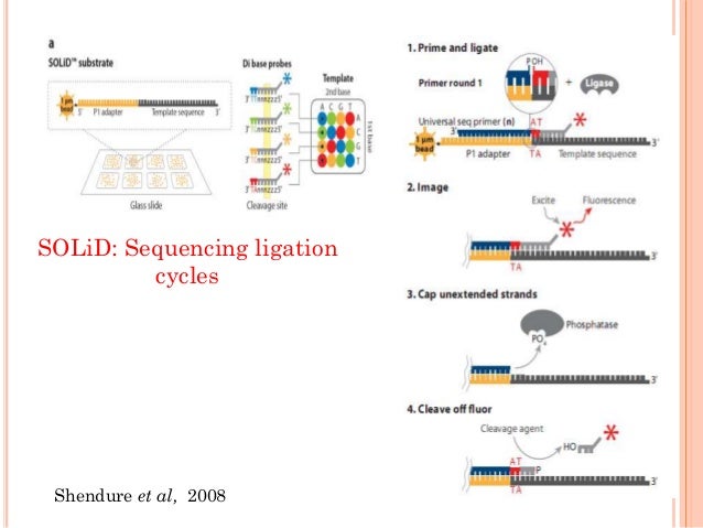 Next Generation Sequencing