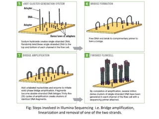 Next generation sequencing | PDF