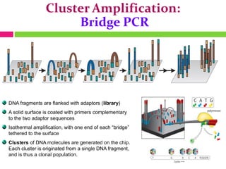 nextgenerationsequencing-170606100132.pdf