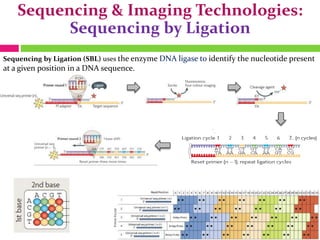 nextgenerationsequencing-170606100132.pdf