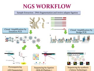 nextgenerationsequencing-170606100132.pdf