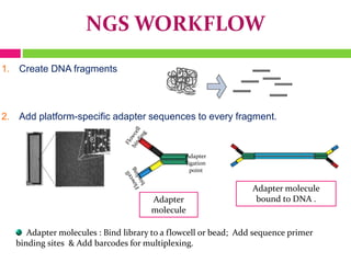 nextgenerationsequencing-170606100132.pdf