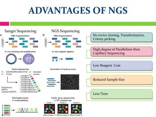 Next generation sequencing | PPTX