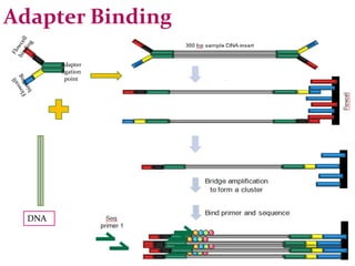 Next generation sequencing | PPTX