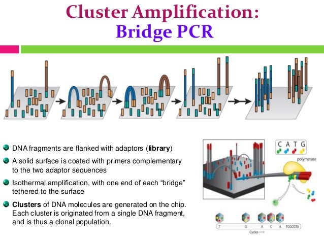 Next generation sequencing