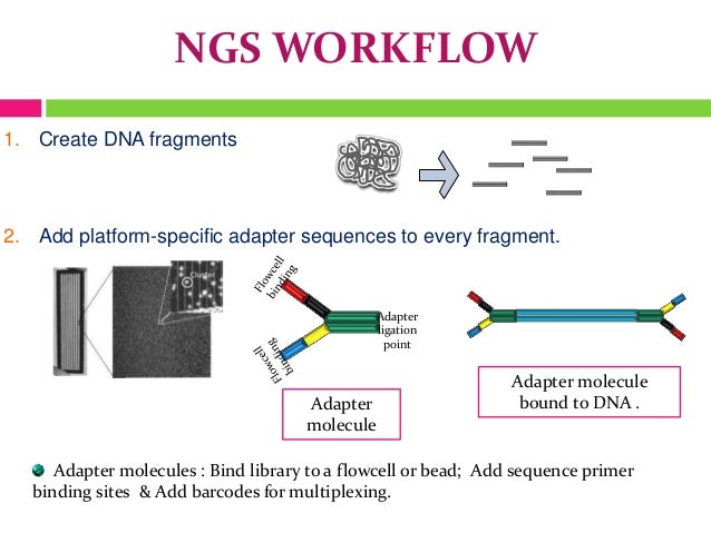 Next Generation Sequencing Workflow