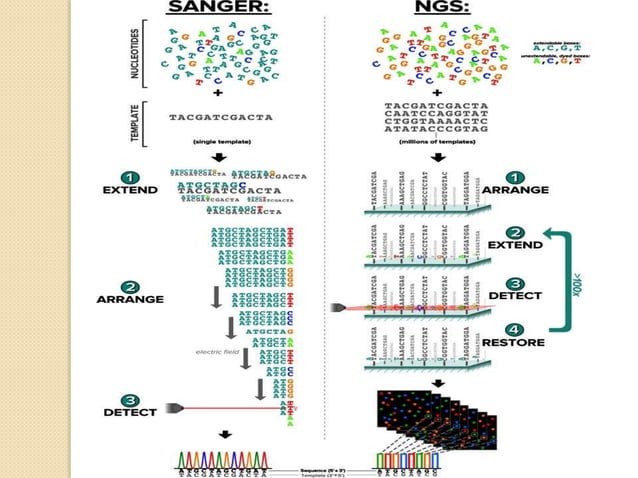 Next generation sequencing | PPTX