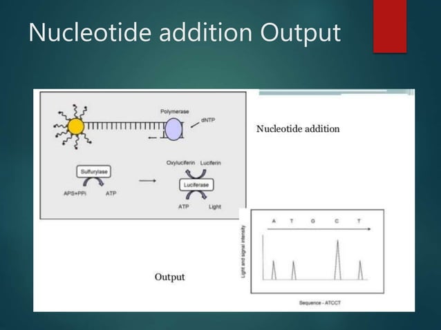 Next generation sequencing | PPT