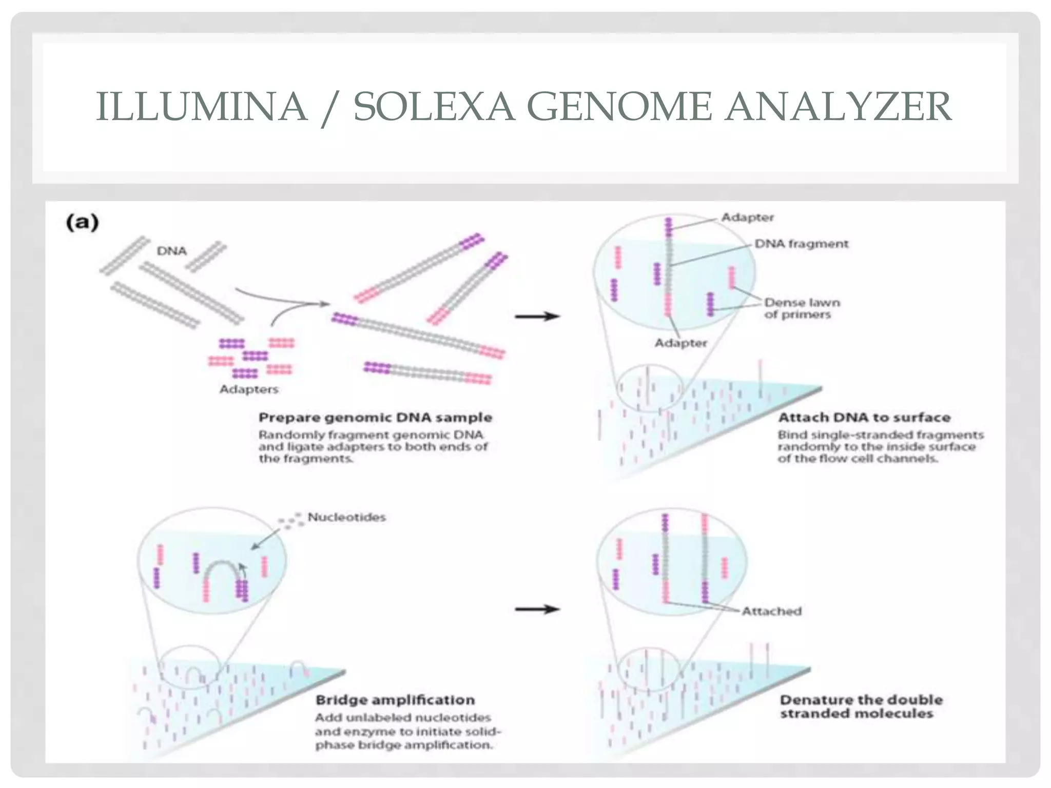 Next generation sequencing | PPTX