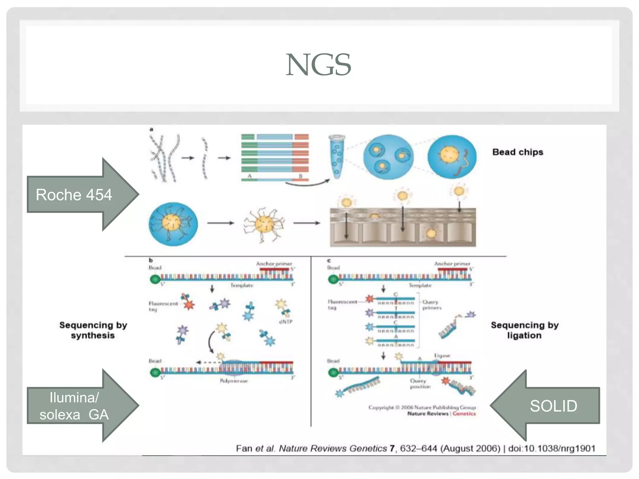 Next generation sequencing | PPTX