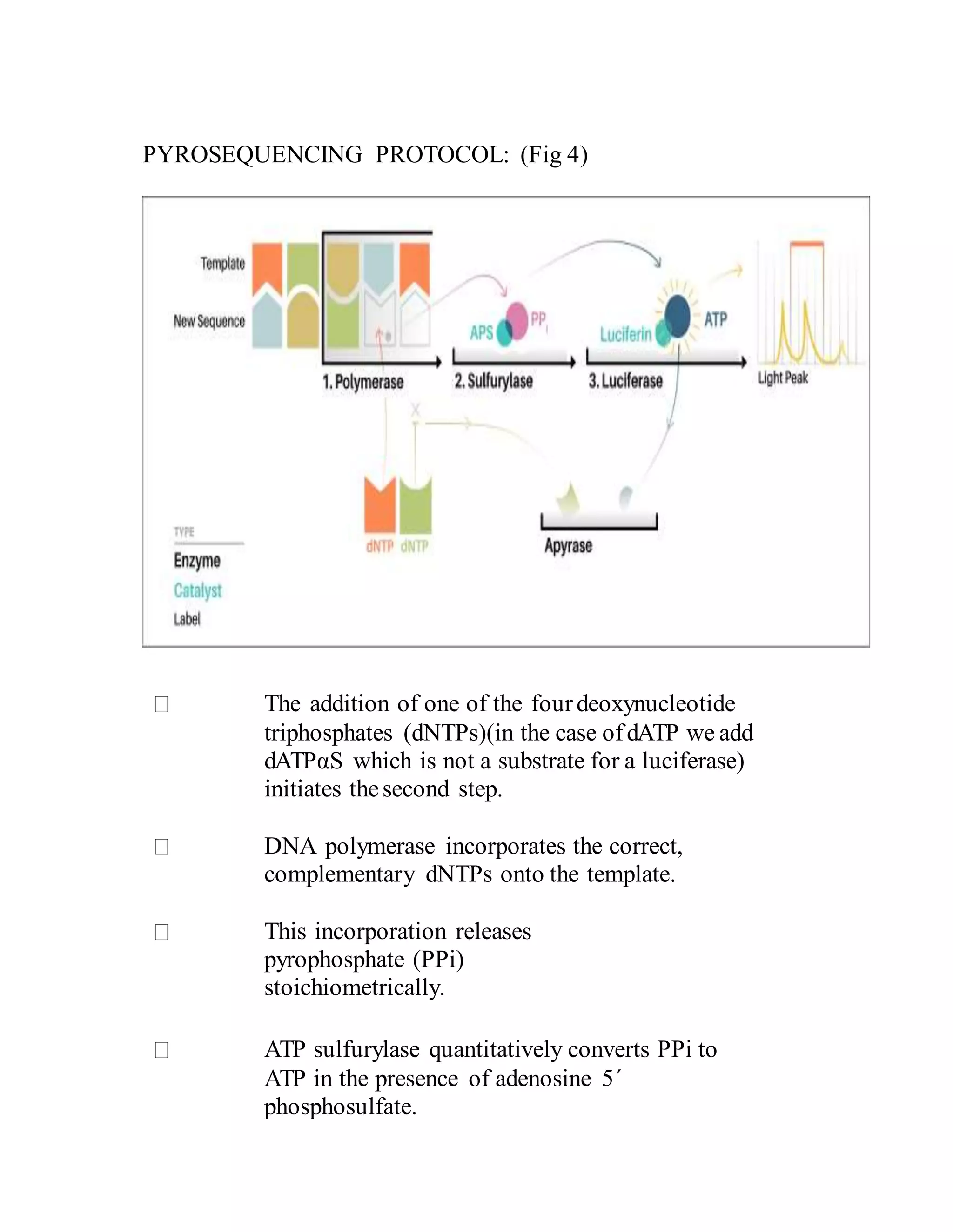 Next generation sequencing | DOCX
