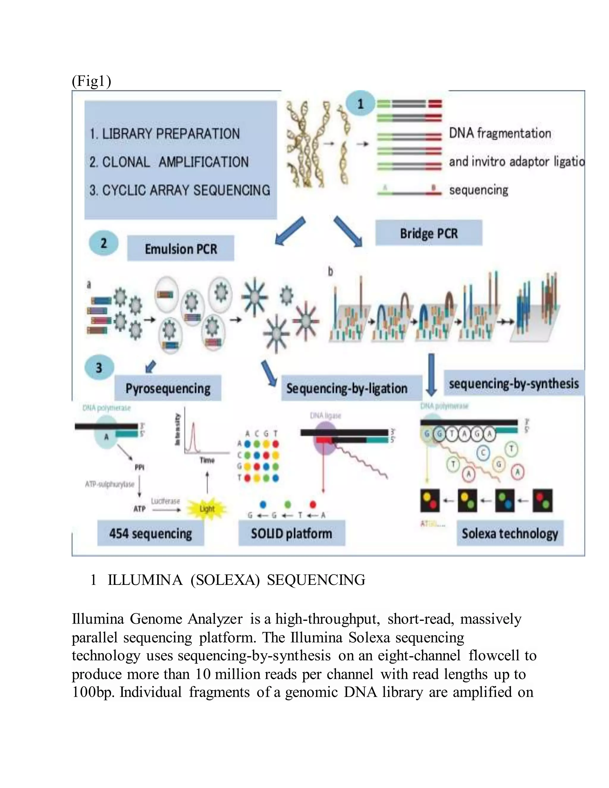 Next generation sequencing | DOCX | Chemistry | Science