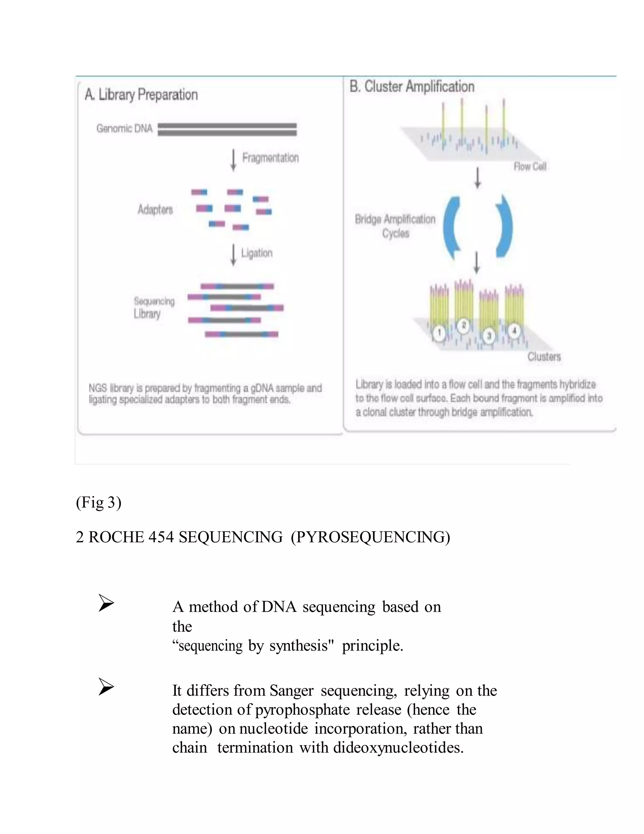 Next generation sequencing | DOCX | Chemistry | Science
