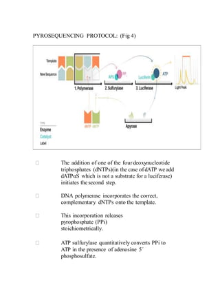 Next generation sequencing | DOCX