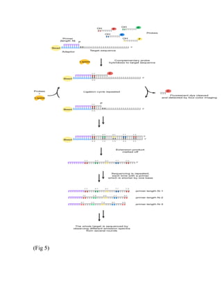 Next generation sequencing | DOCX