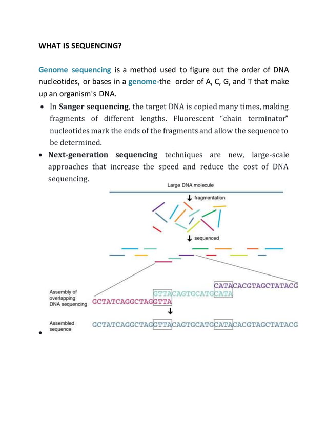 Next generation sequencing | DOCX | Chemistry | Science