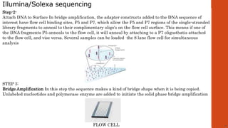 Next generation sequencing | PPTX