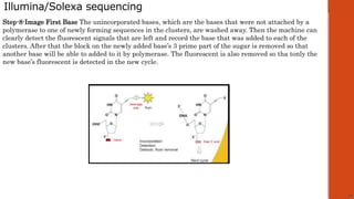 Next generation sequencing | PPTX