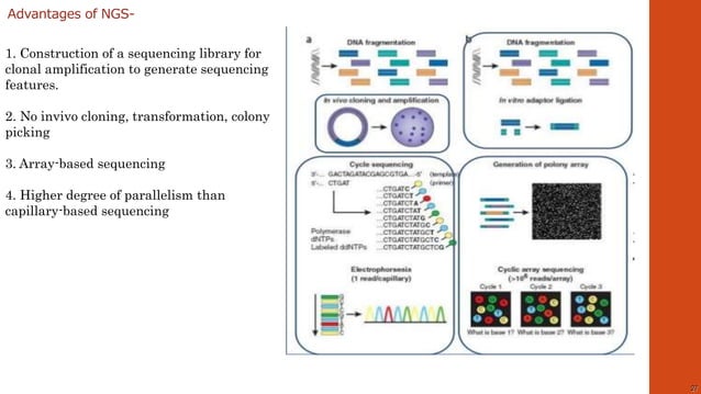 Next generation sequencing | PPTX