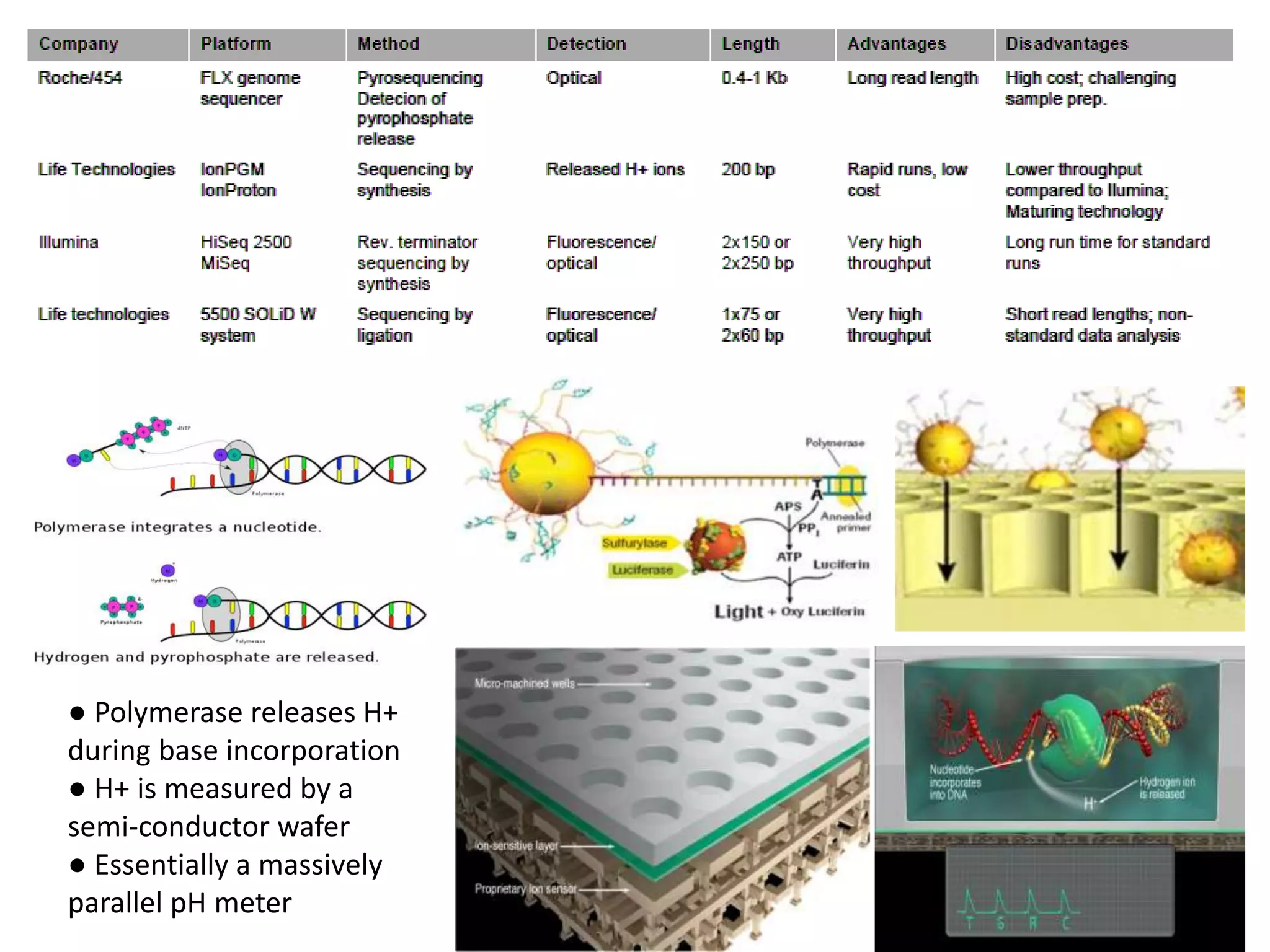 Next generation sequencing methods | PPTX | Chemistry | Science