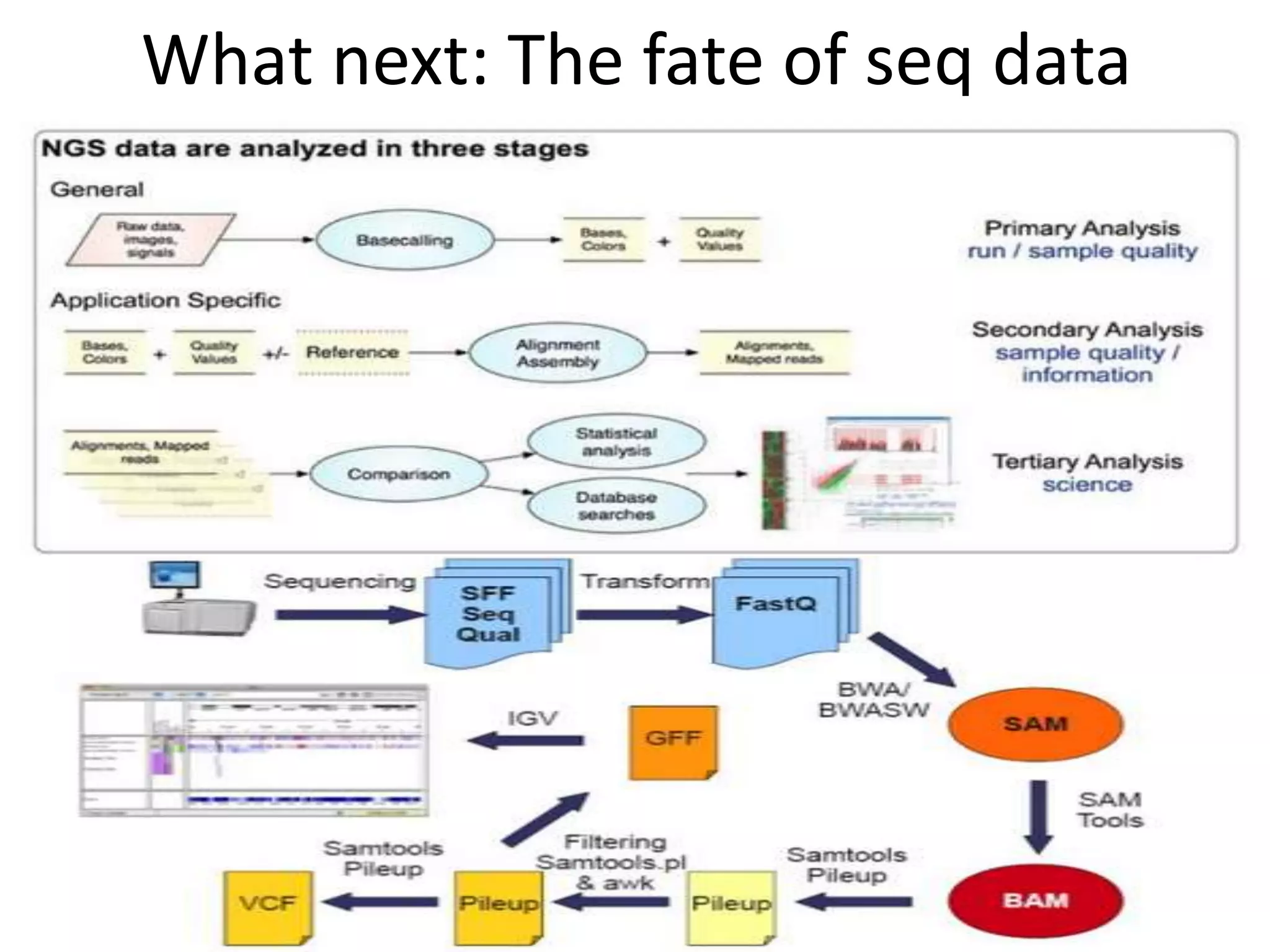 Next generation sequencing methods | PPTX | Chemistry | Science