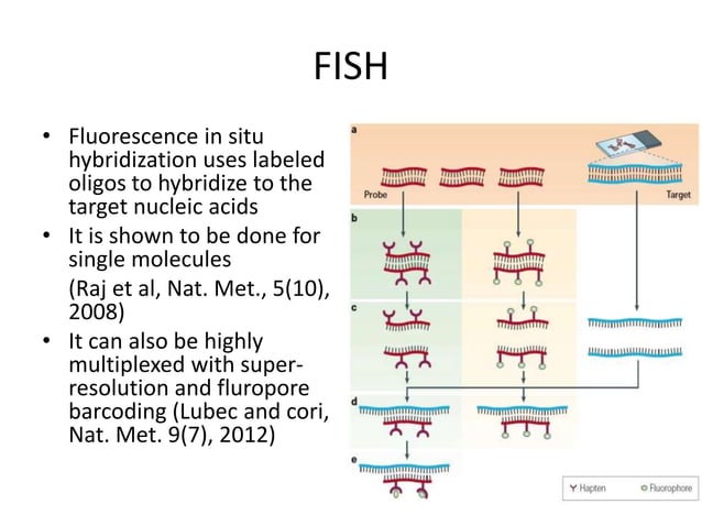 Next generation sequencing methods | PPTX | Chemistry | Science